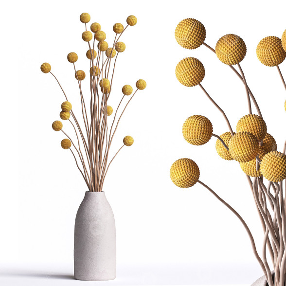 Bouquet Billy Button Balls 3D model - GreatCatalog 14301