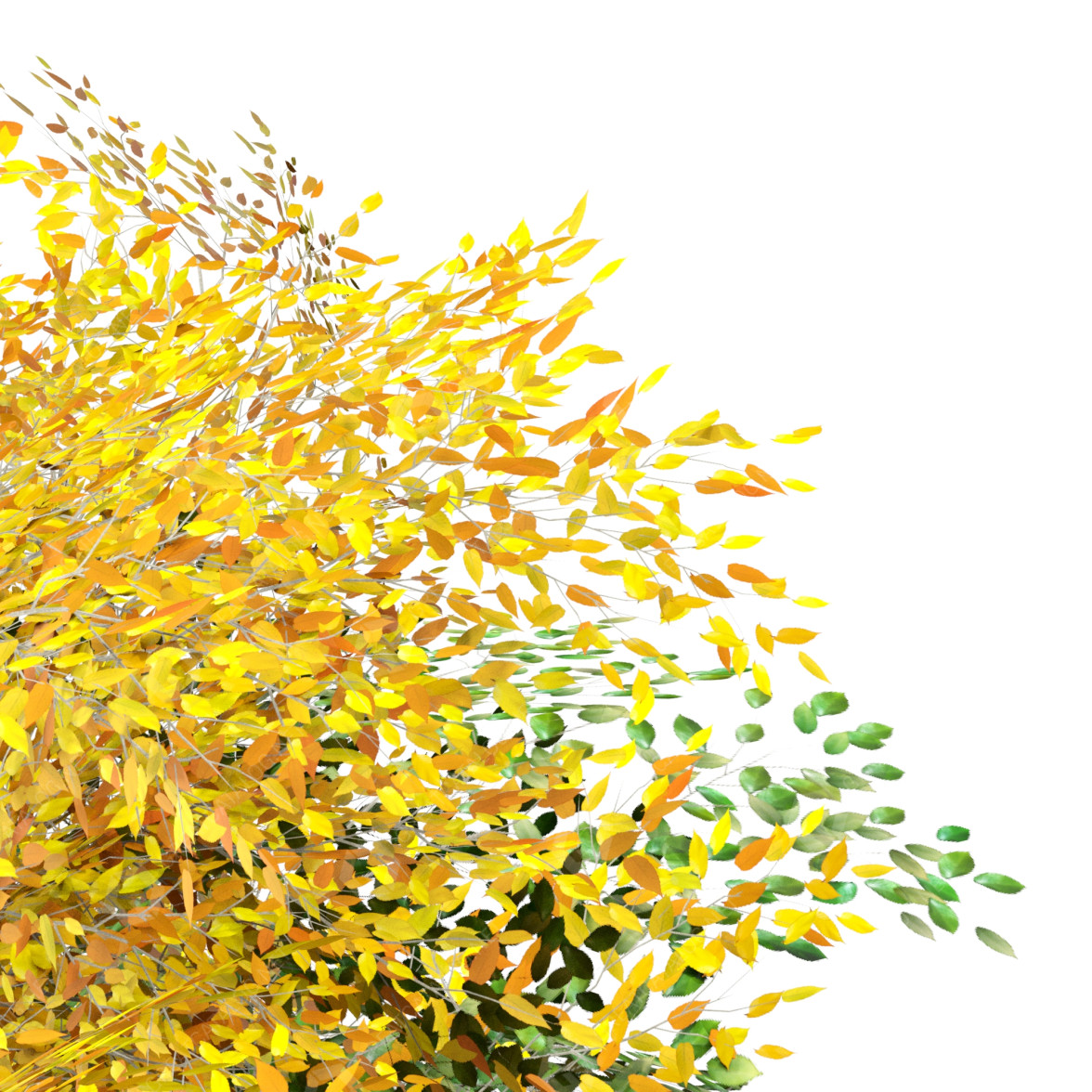 Tree American Elm Autumn 3D model - GreatCatalog 15301