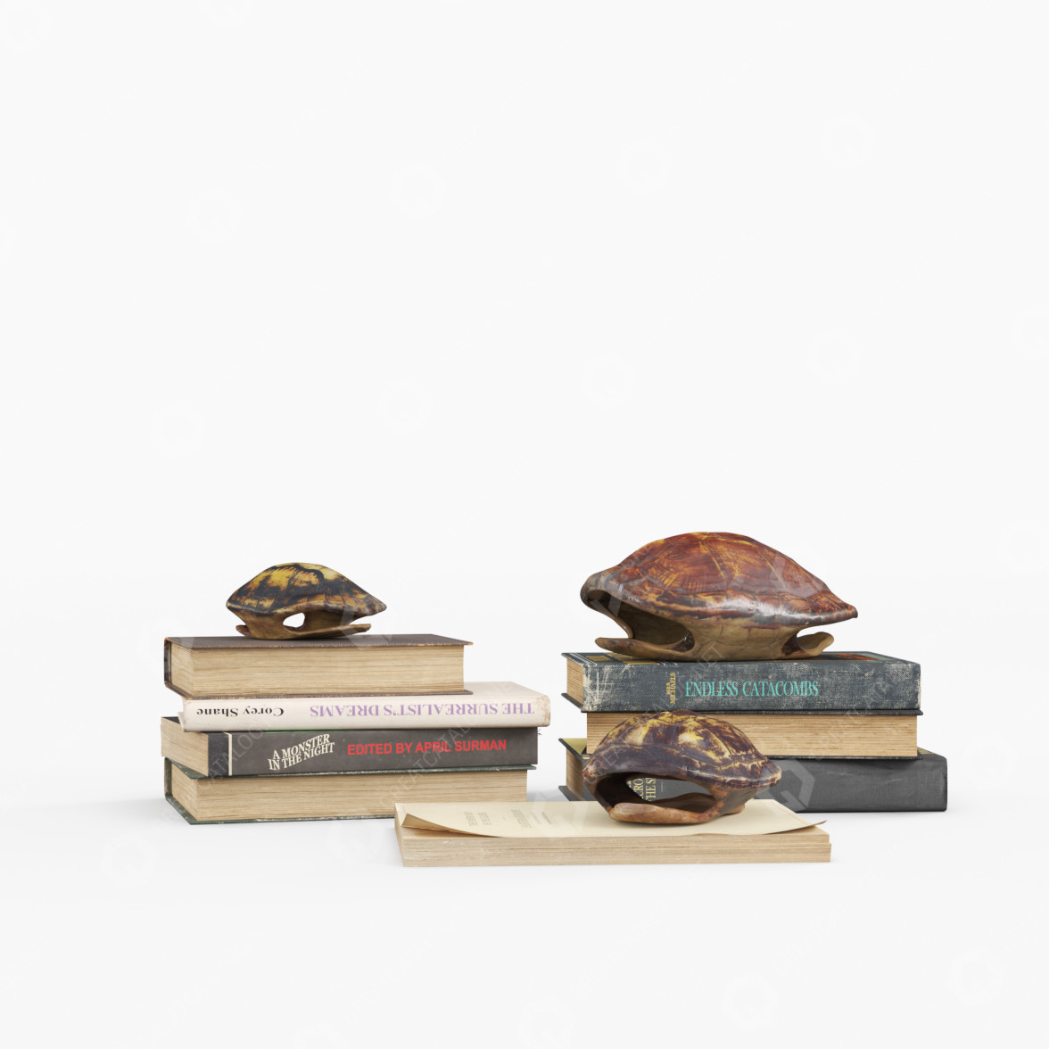 Books and Decor Turtle Shells and Books 3D model - GreatCatalog 15894