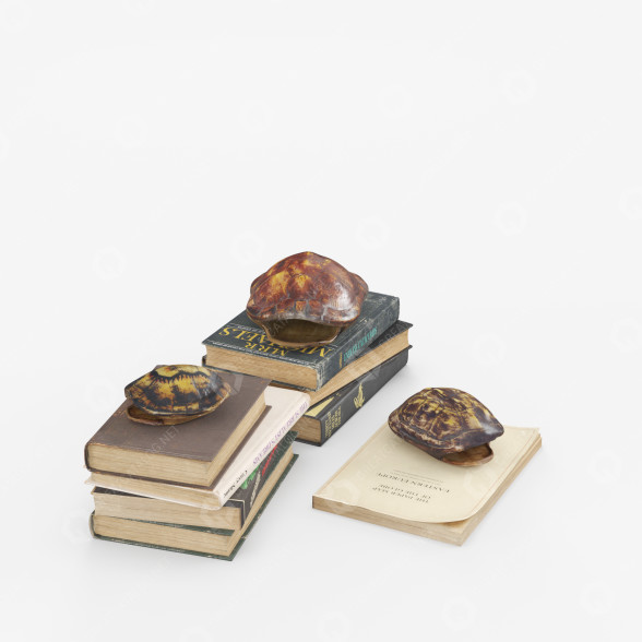 Books and Decor Turtle Shells and Books 3D model - GreatCatalog 15894