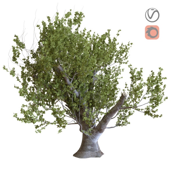 Tree Set 23 3D model・Download 3D models・Great Catalog - GreatCatalog 16493