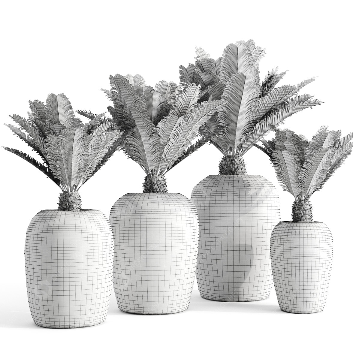 Plants Restoration Hardware Cantera Planters With Sago Palm 3D model ...