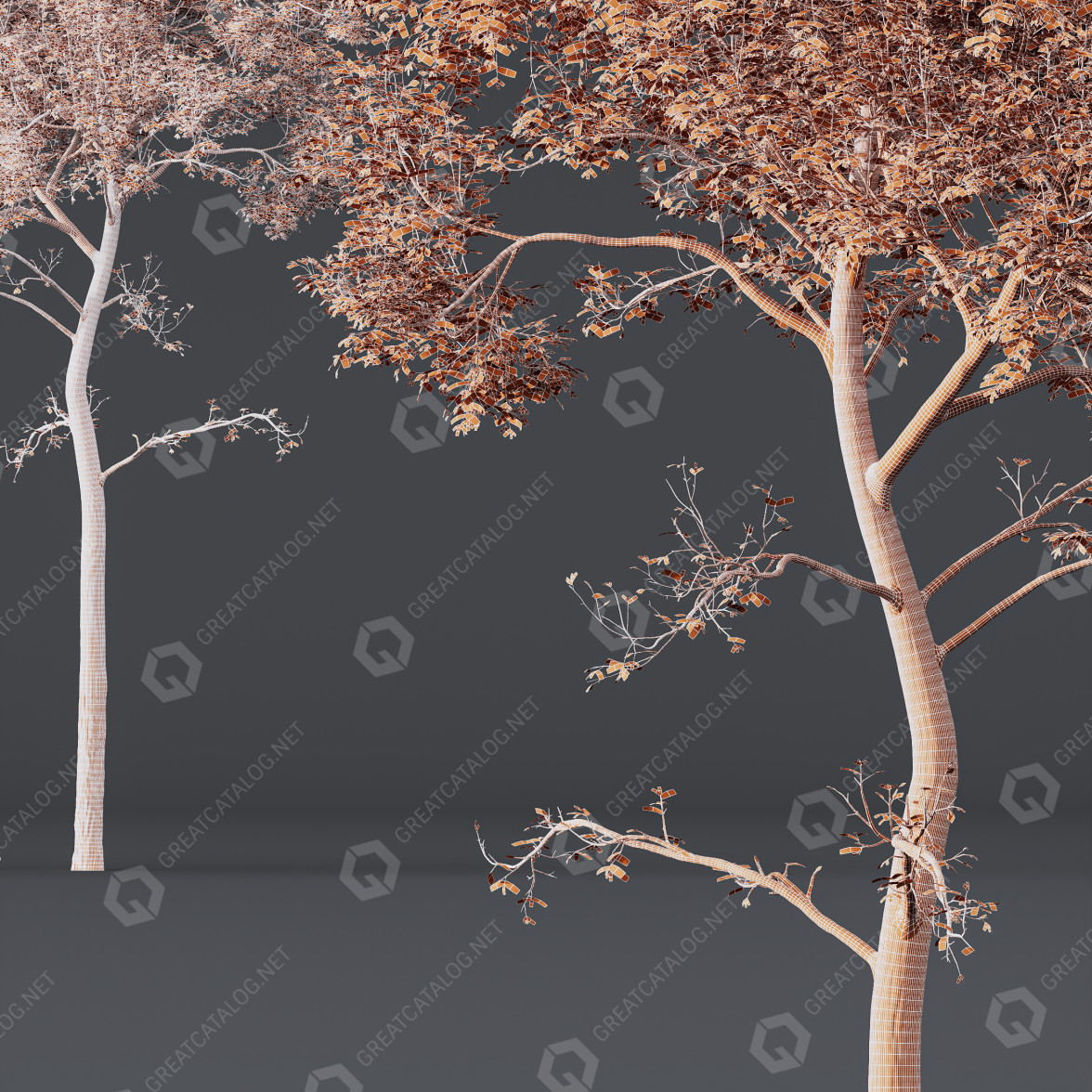 Tree HQ Plants Ash Tall 3D model - GreatCatalog 29856
