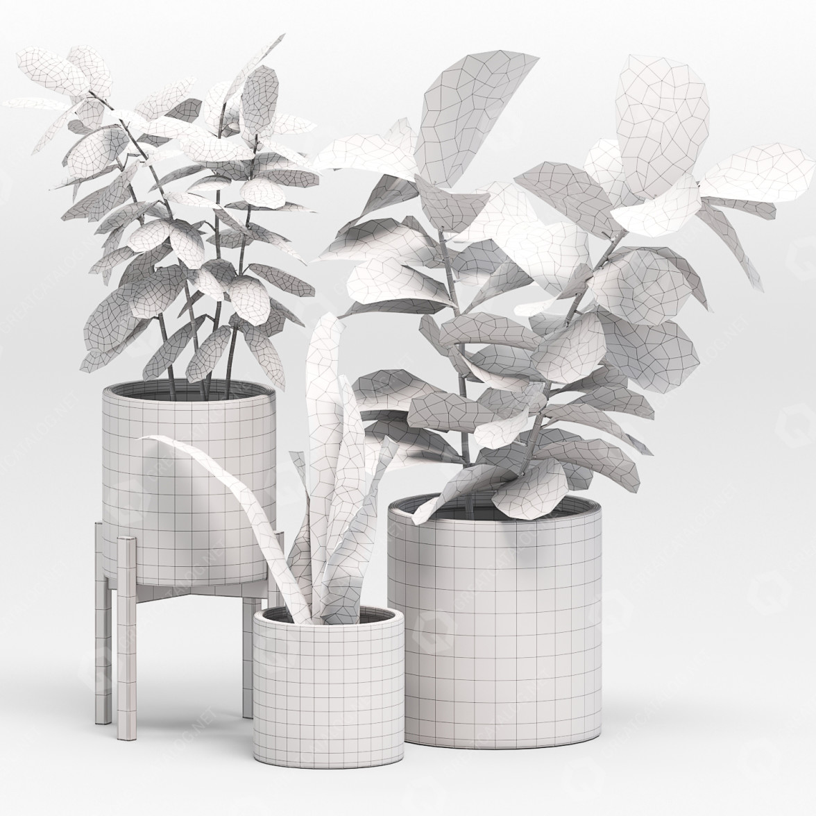 Potted Plants Set 02 3D model - GreatCatalog 30595