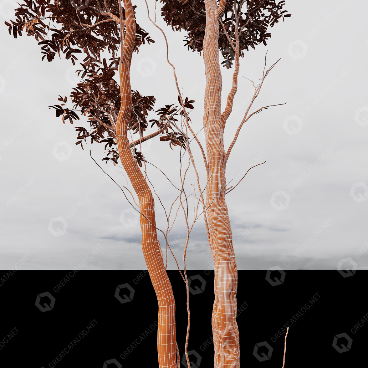 Trees Castanea Sativa 3D model - GreatCatalog 30920