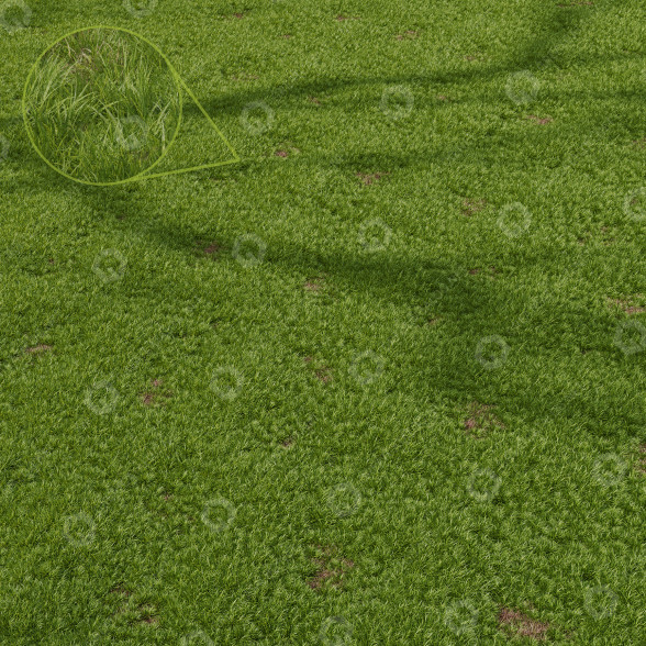Grass Beautiful Green Lawn Relaxation 3D model