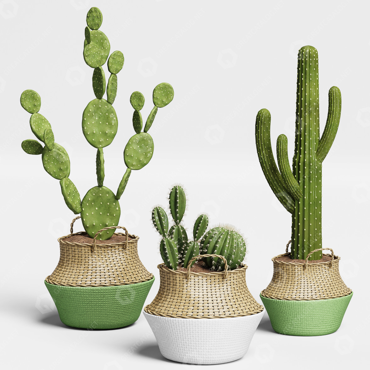Potted Plants Cacti Set 13 3D model - GreatCatalog 34897