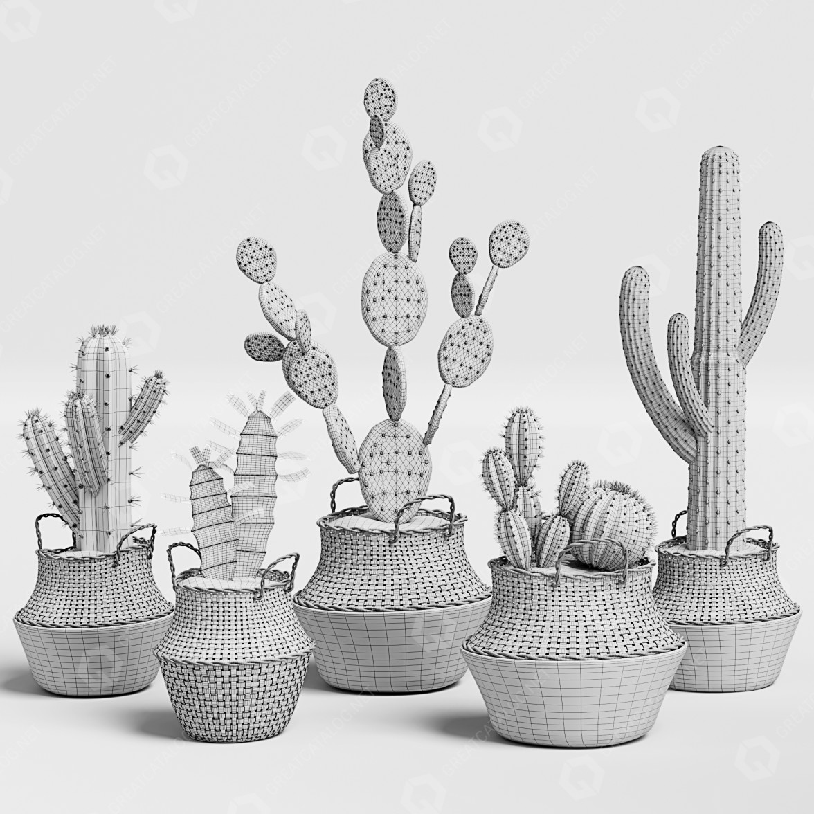 Potted Plants Cacti Set 13 3D model - GreatCatalog 34897