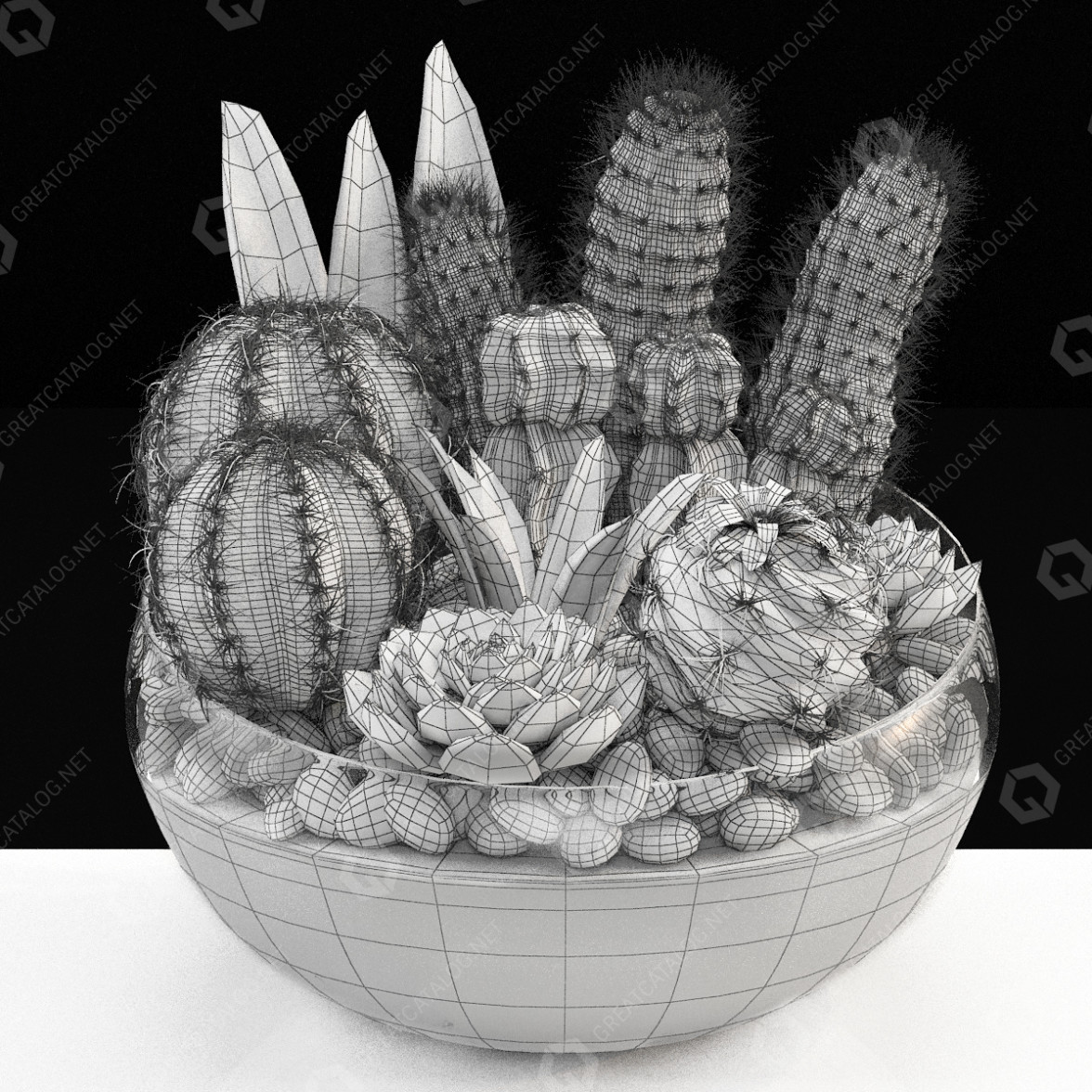 Cacti Collection 3D model・Download 3D models・Great Catalog - GreatCatalog 35907