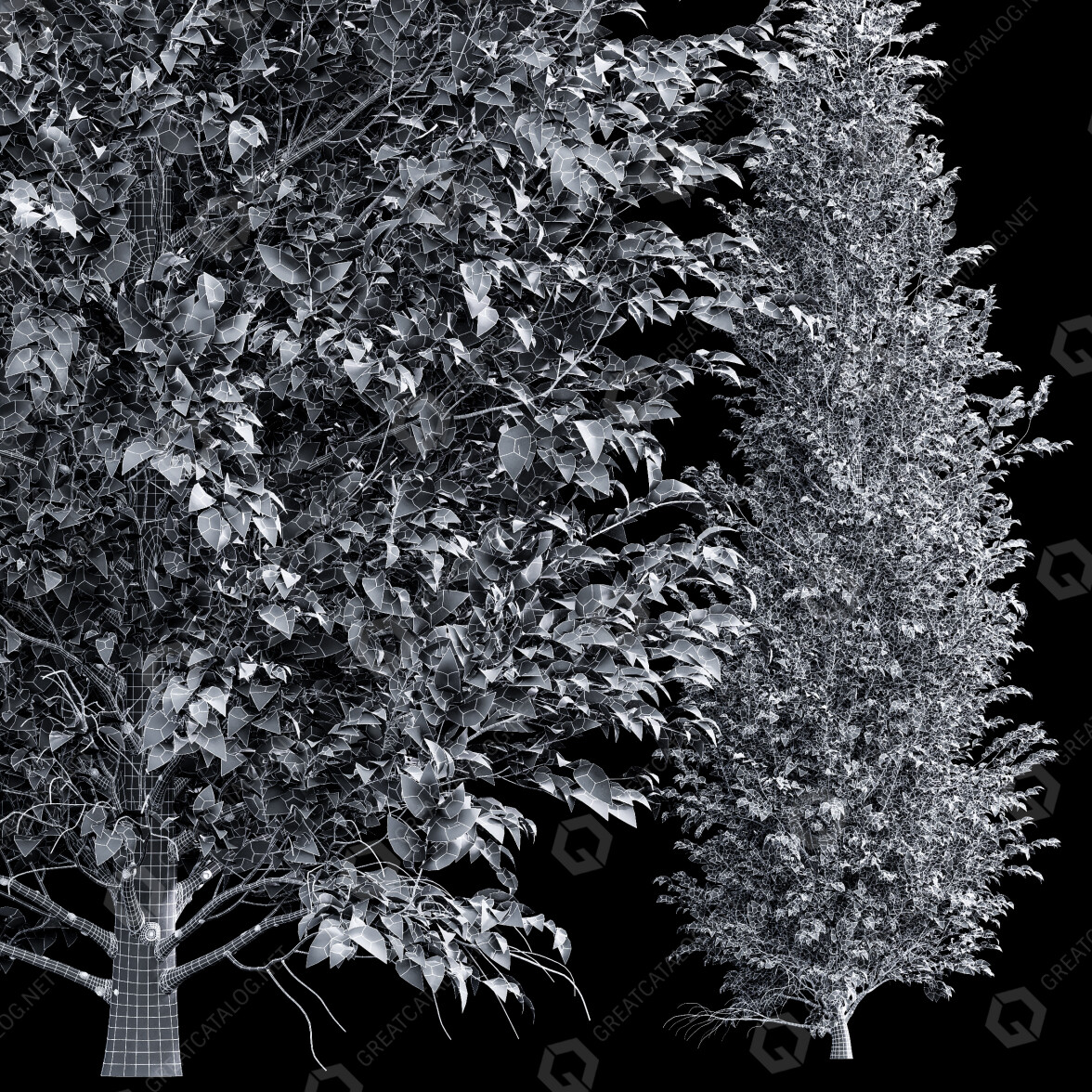 Trees Carpinus Betulus 01 3D model - GreatCatalog 37126