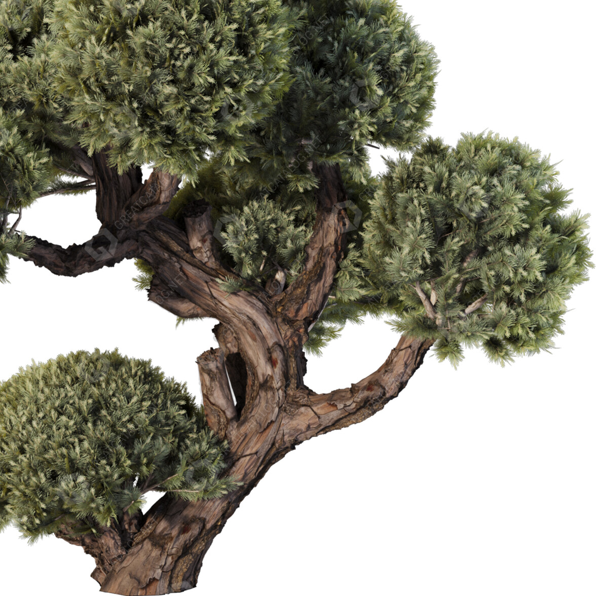 Tree Pine 3D model・Download 3D models・Great Catalog