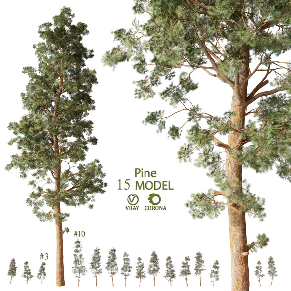 Trees Pine Pack Vol 01 3D model - GreatCatalog 37392