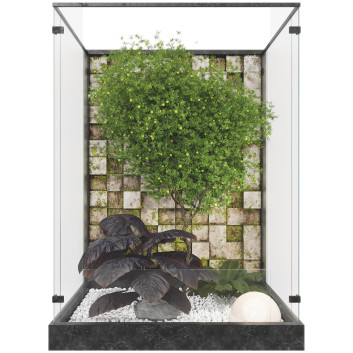 Terrarium 3D models - GreatCatalog