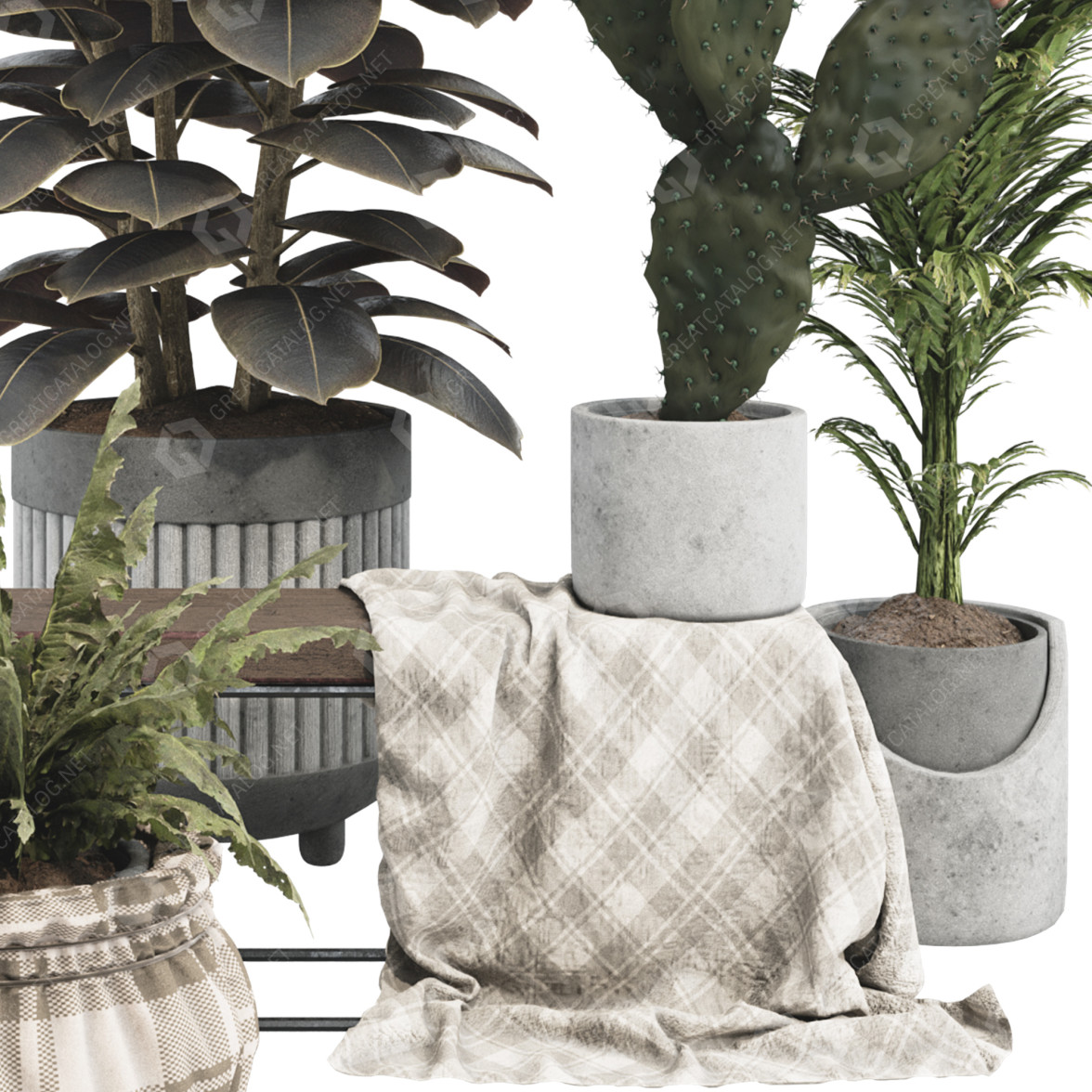 Potted Plants Collection Set 95 3D model - GreatCatalog 37830