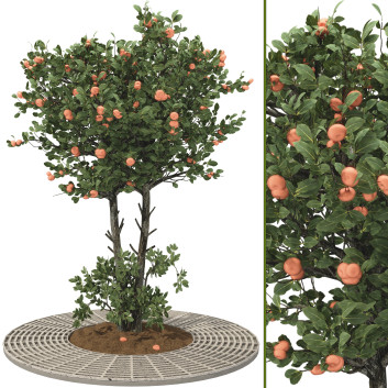 Apple tree 3D models - GreatCatalog
