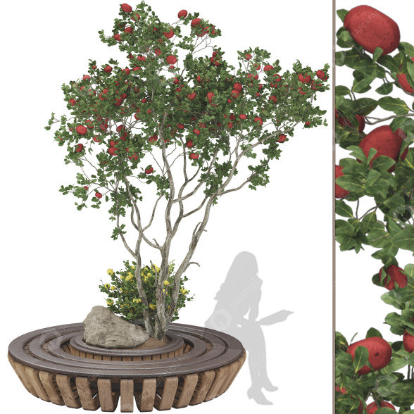 Plants and Bench Collection Set 118 3D model - GreatCatalog 38162