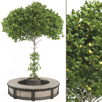 Tree bench 3D models - GreatCatalog