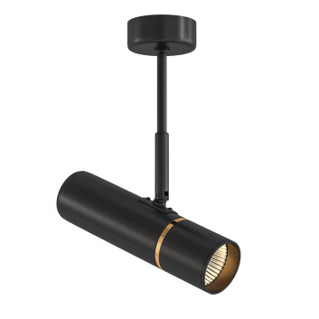 Directional spotlight 3D models - GreatCatalog