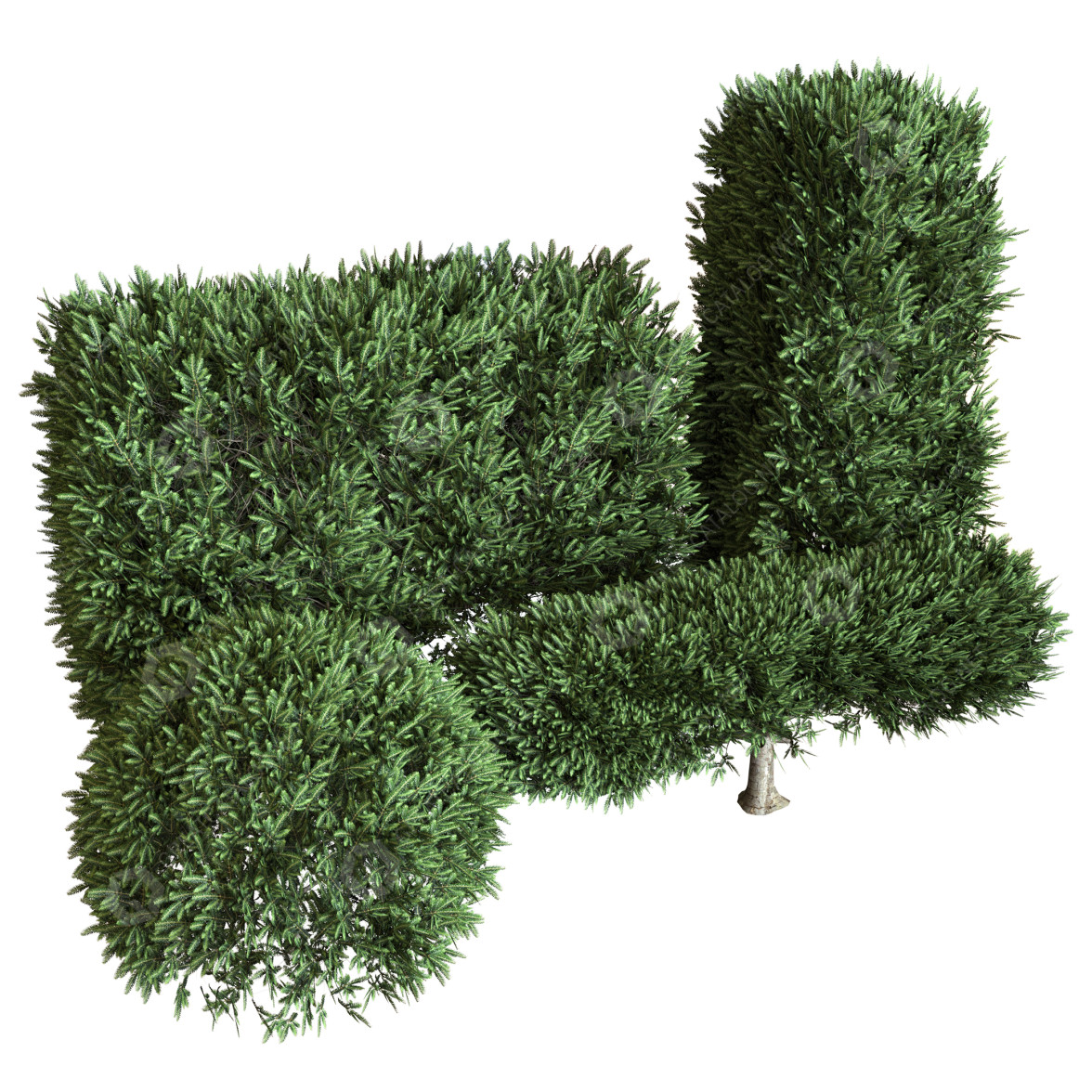 Bushes Vol 01 3D model・Download 3D models・Great Catalog - GreatCatalog ...