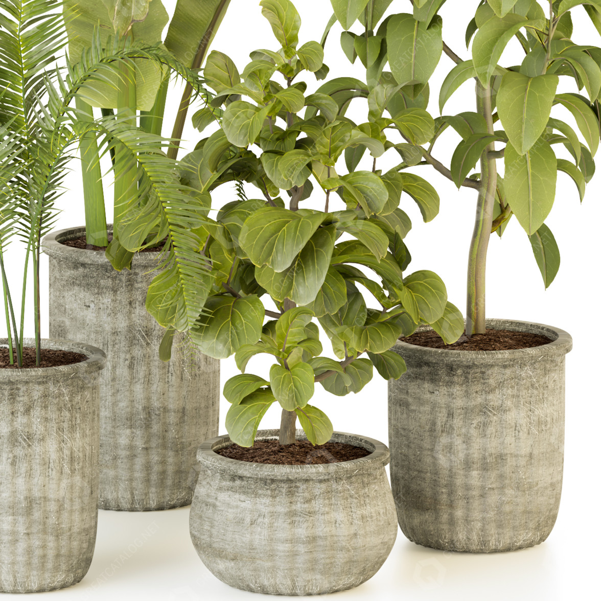 Potted Plants Collection Indoor 95 3D model - GreatCatalog 38898
