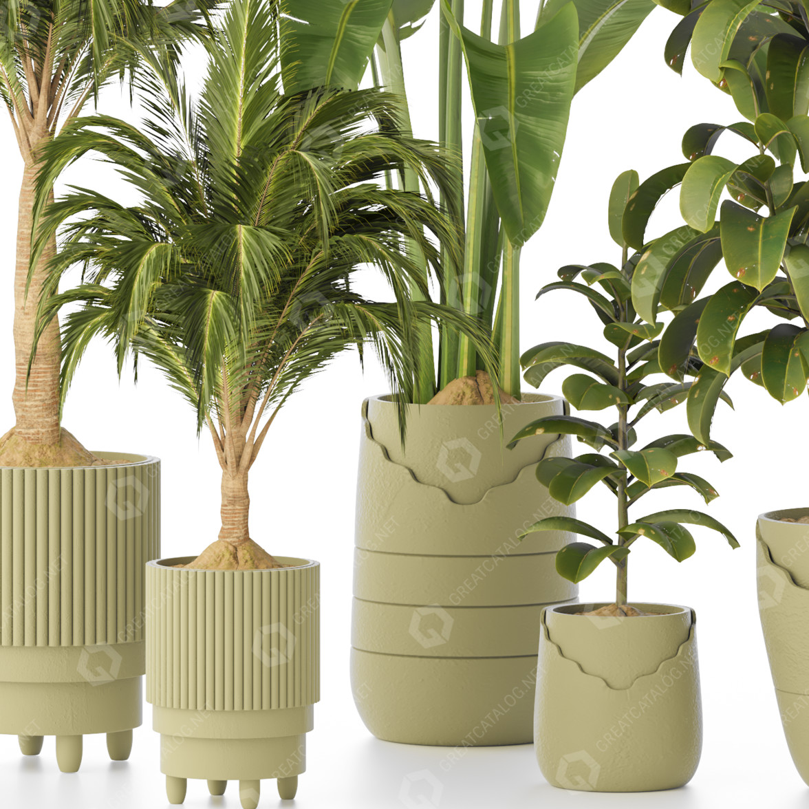 Potted Plants Collection Indoor 135 3D model - GreatCatalog 39064