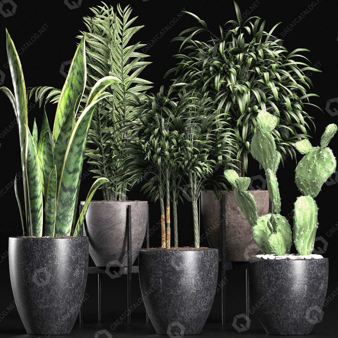 Potted Plants Collection 211 3D model - GreatCatalog 39493