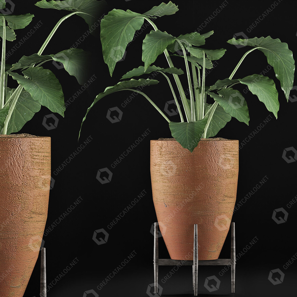 Potted Plant Collection 50 3D model - GreatCatalog 40175