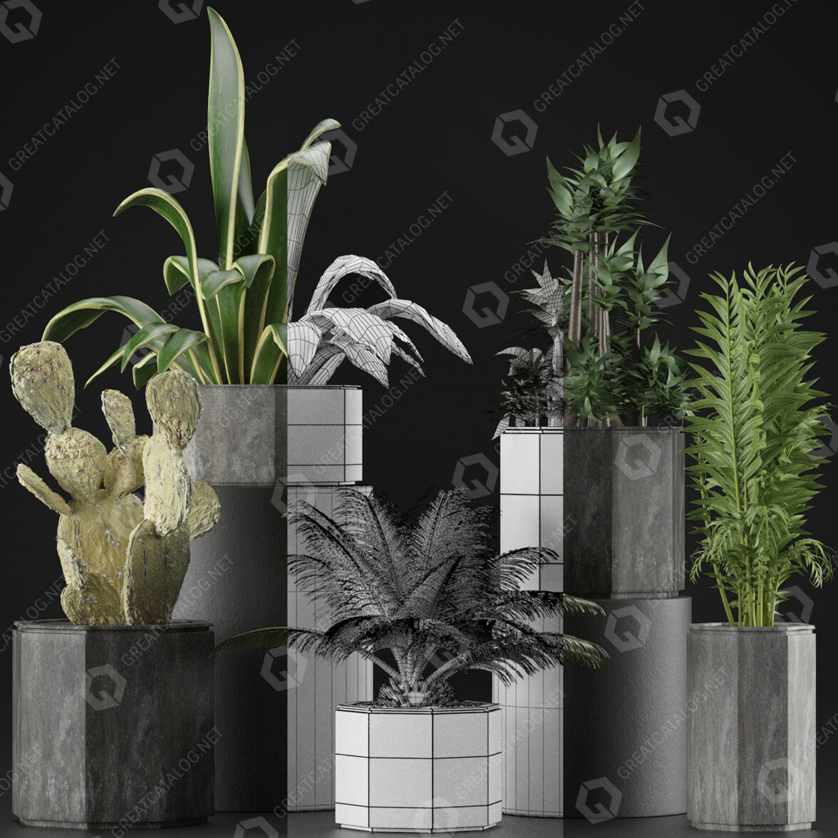 Potted Plants Collection 26 3D model - GreatCatalog 40203