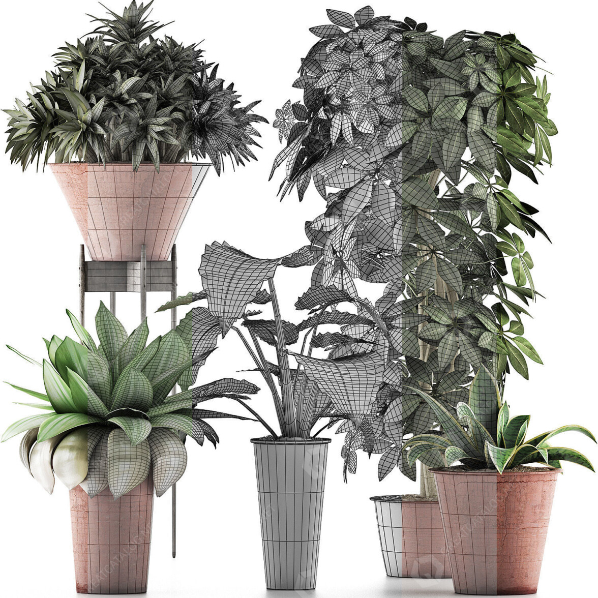 Potted Plants Collection 35 3D model - GreatCatalog 40381