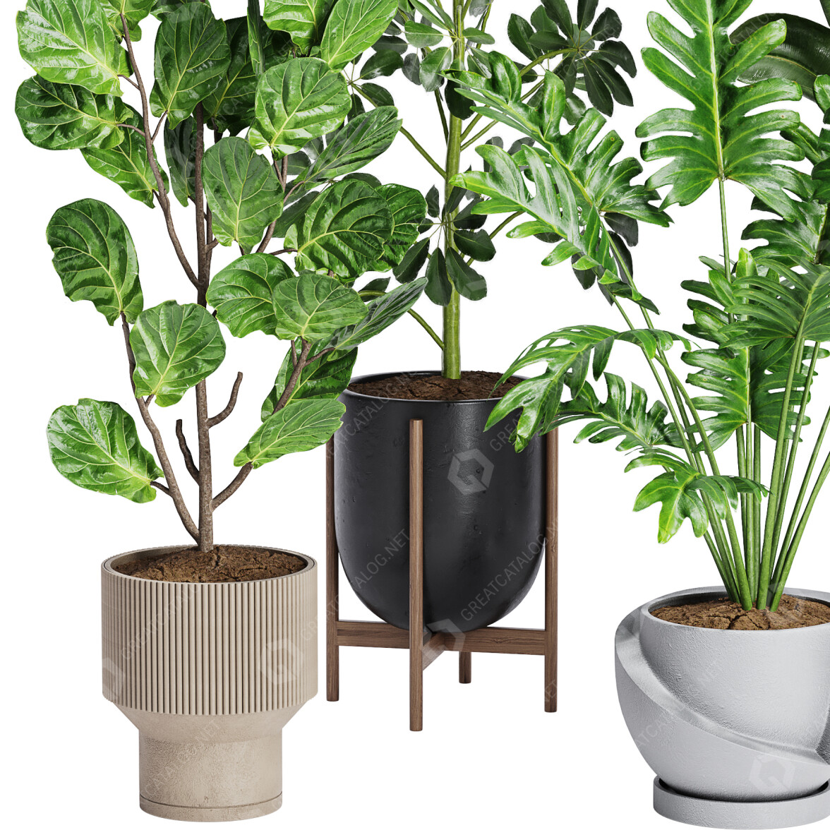 Potted Plants Indoor Set 20 3D model - GreatCatalog 41212