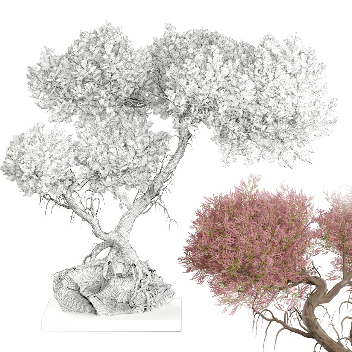 Tree on Stone Indoor Plant 460 3D model - GreatCatalog 41799