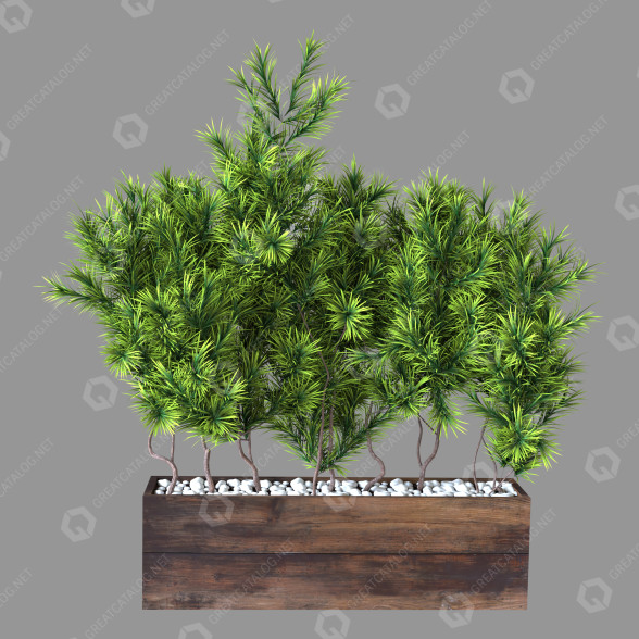Potted Plant Indoor Vol 24 3D model - GreatCatalog 41916