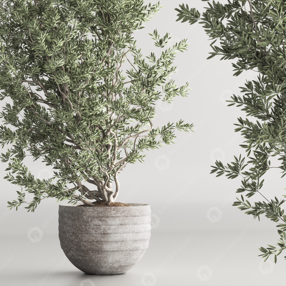 Potted Plant Indoor Set 80 3D model - GreatCatalog 42603