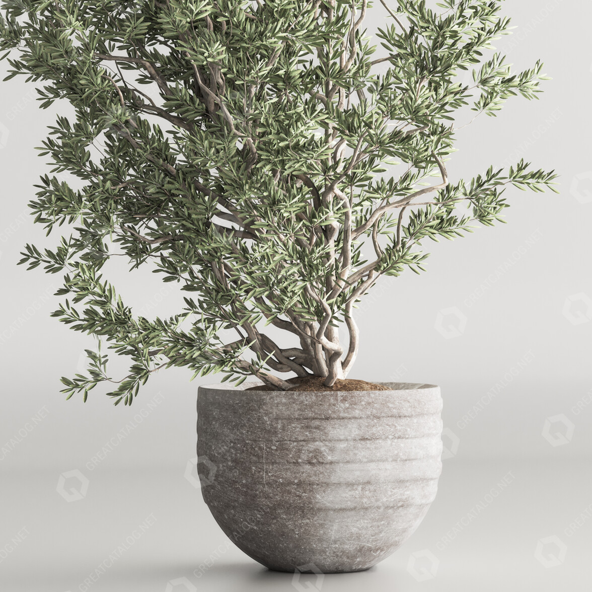 Potted Plant Indoor Set 80 3D model - GreatCatalog 42603
