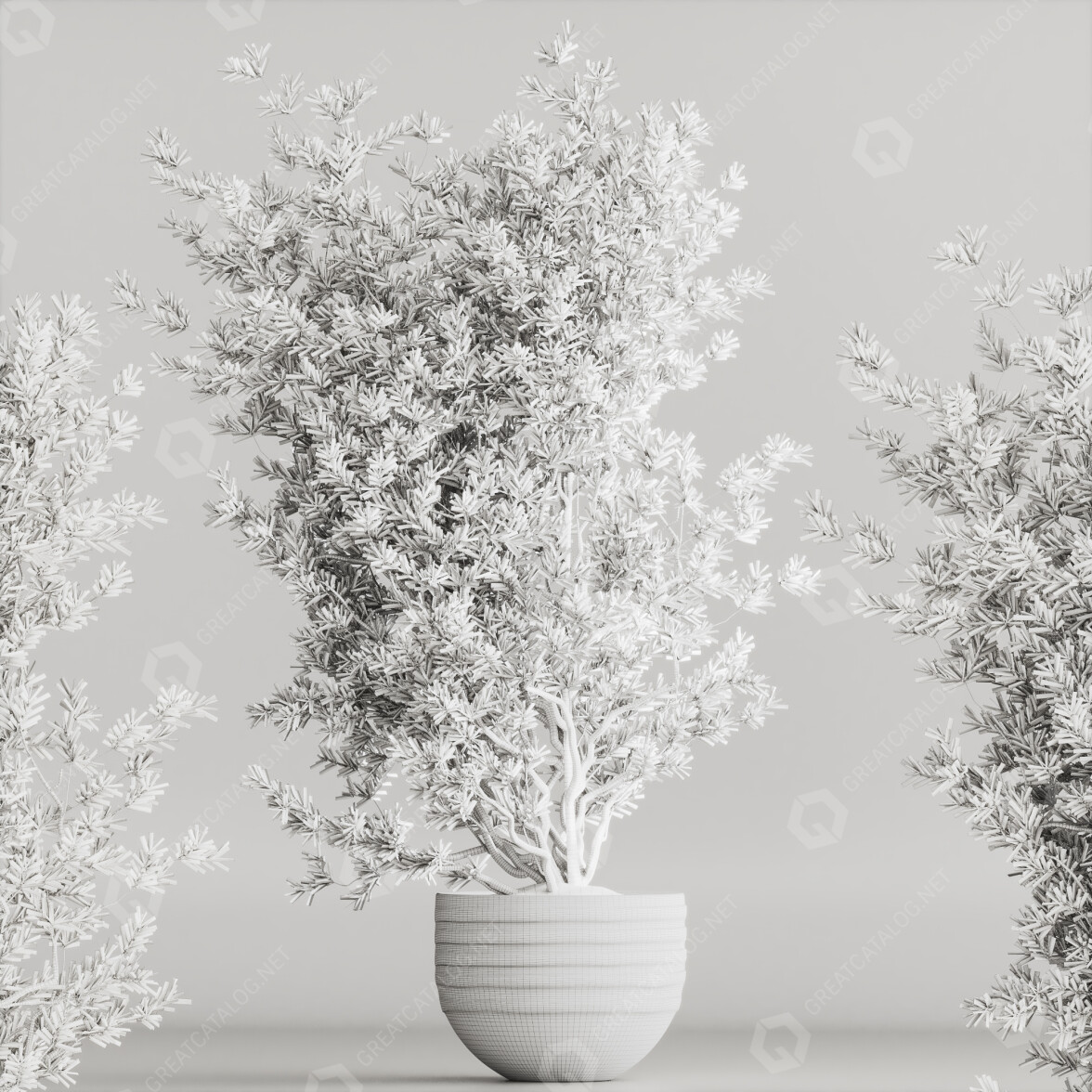 Potted Plant Indoor Set 80 3D model - GreatCatalog 42603
