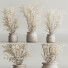 Potted Plants Indoor Set 81 Dry 3D model - GreatCatalog 42605