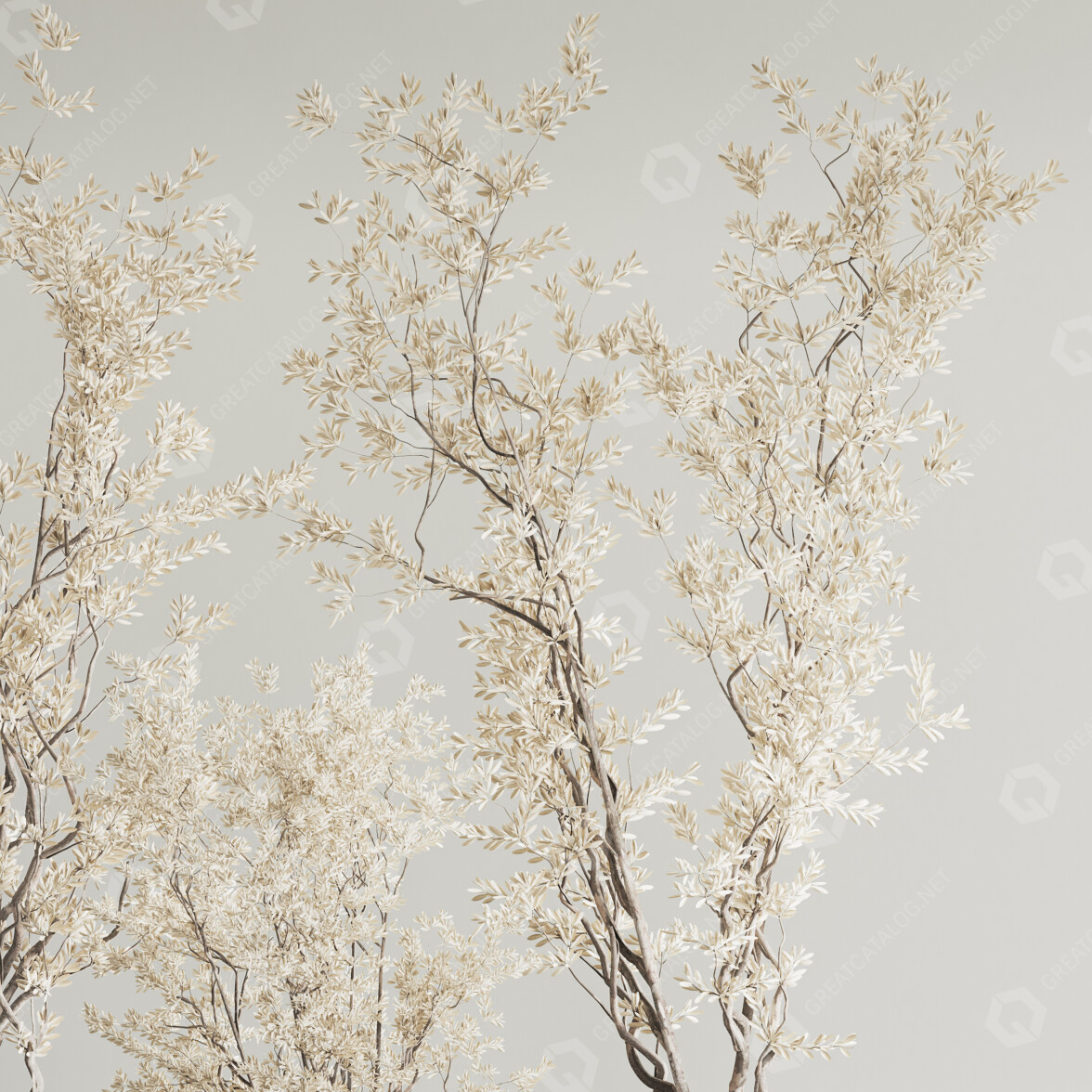 Potted Plants Indoor Set 81 Dry 3D model - GreatCatalog 42605