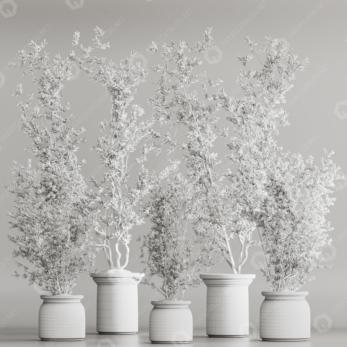 Potted Plants Indoor Set 81 Dry 3D model - GreatCatalog 42605
