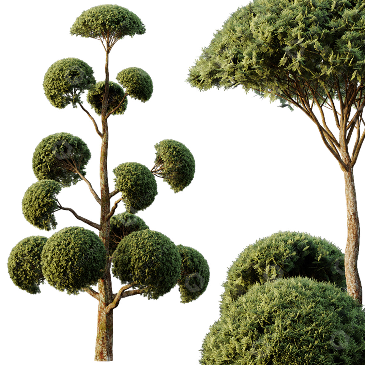 Trees Spherical 01 3D model・Download 3D models・Great Catalog ...