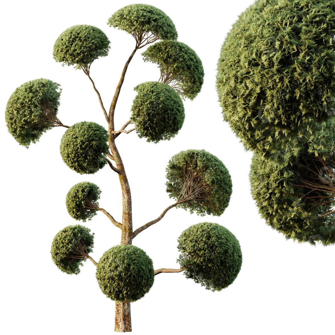 Trees Spherical 02 3D model・Download 3D models・Great Catalog ...