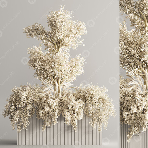 Potted Plant Indoor Set 85 Dry 3D model - GreatCatalog 42697