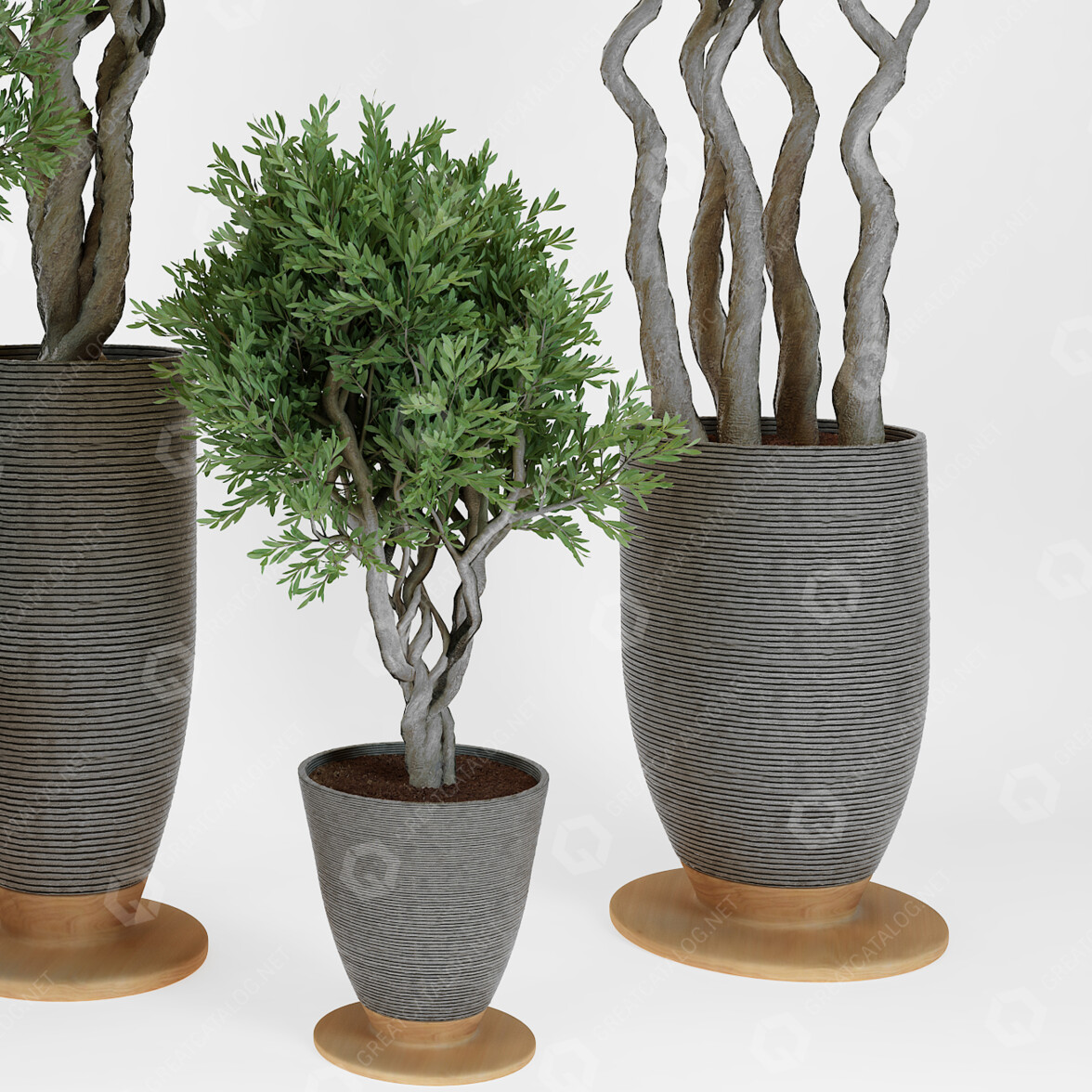 Potted Plants Indoor Vol 43 3D model - GreatCatalog 42728