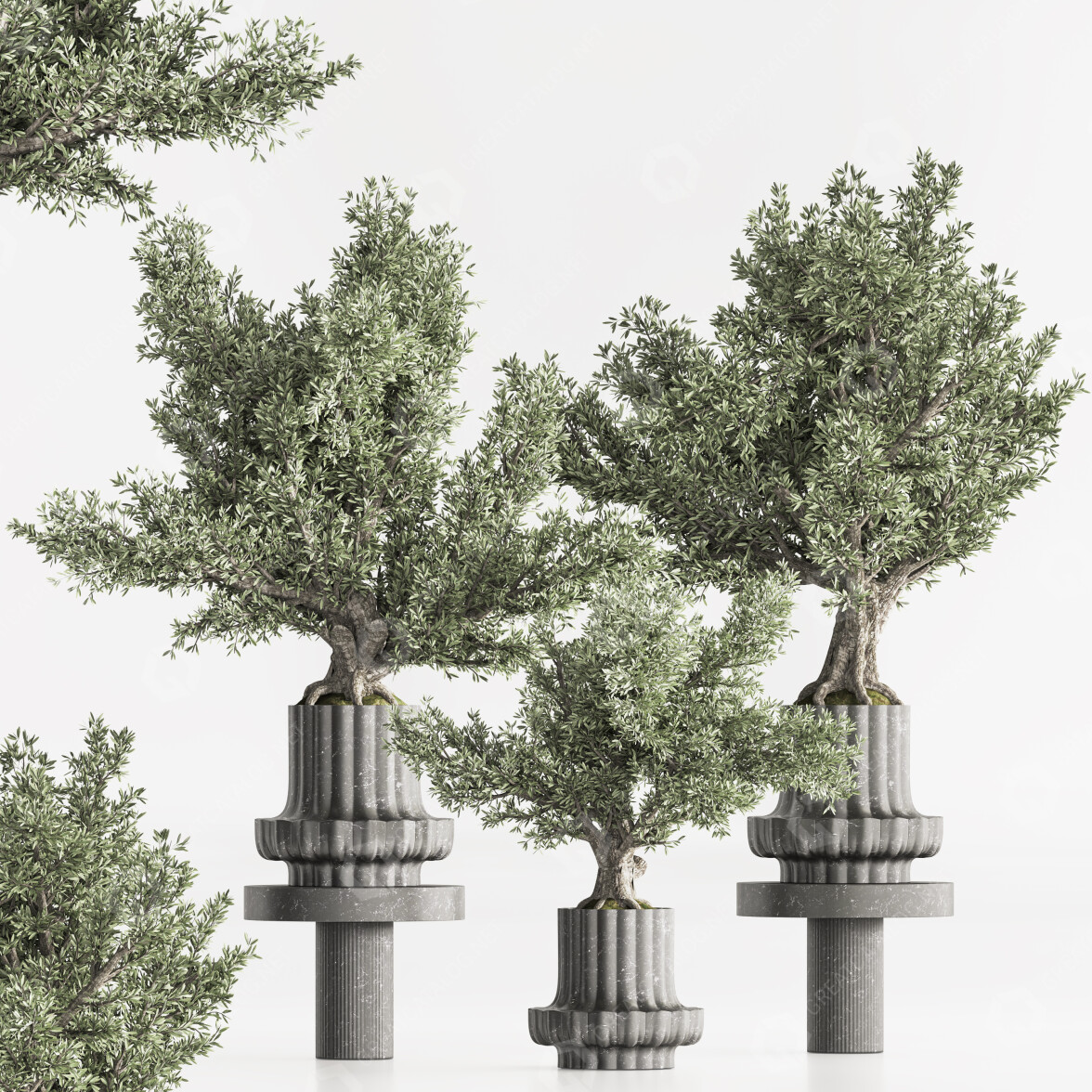 Bonsai Trees Indoor Plant Set 89 3D model - GreatCatalog 42887