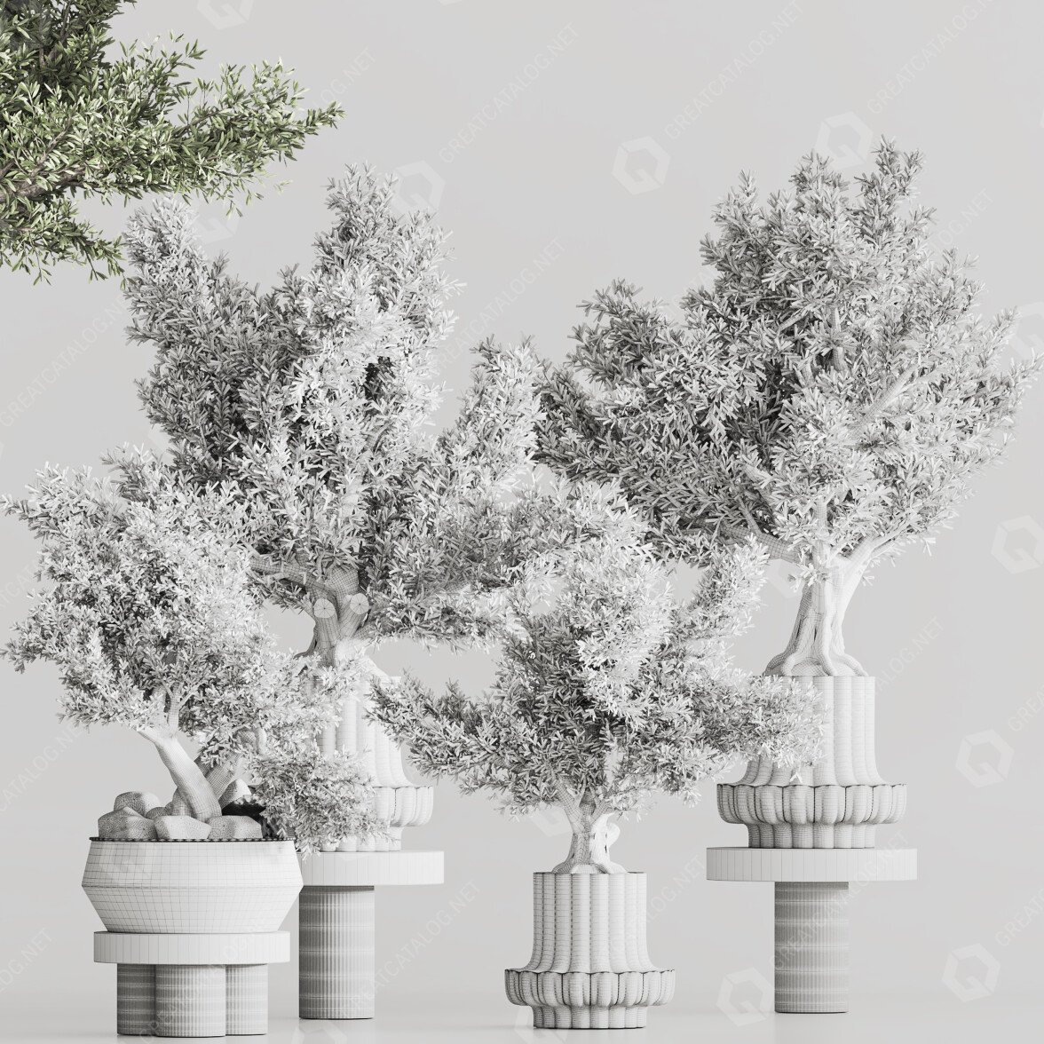 Bonsai Trees Indoor Plant Set 89 3D Model GreatCatalog 42887 bonsai-trees-indoor-plant-set-89-3d-model-greatcatalog-42887