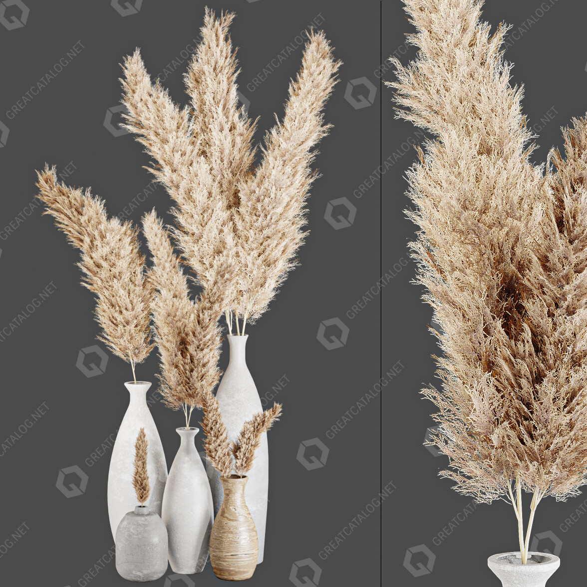 Bouquets Light Cream Color Pampas Collection Set 02 3D model
