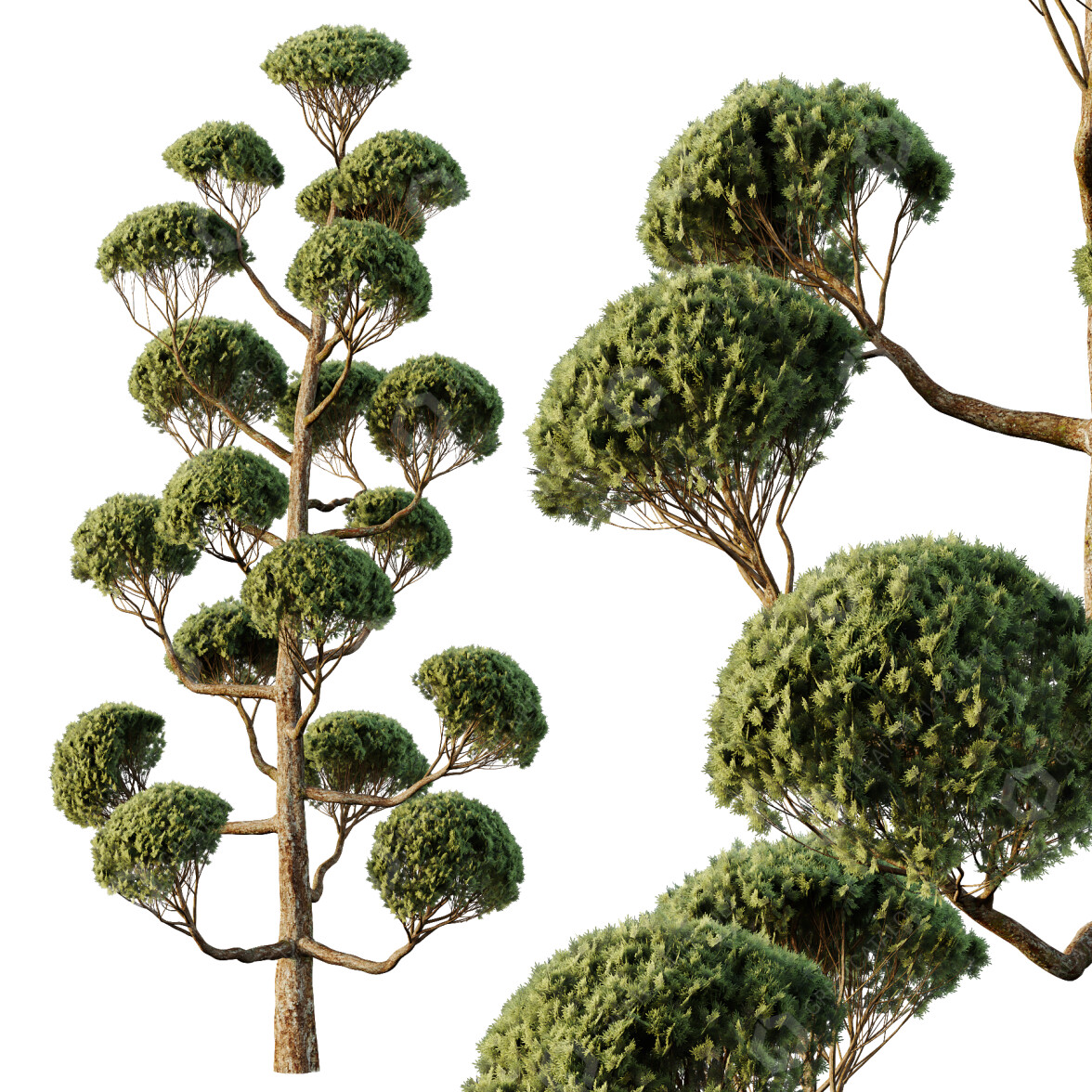 Trees Spherical 06 3D model・Download 3D models・Great Catalog