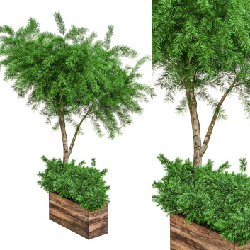Container plant 3D models - GreatCatalog