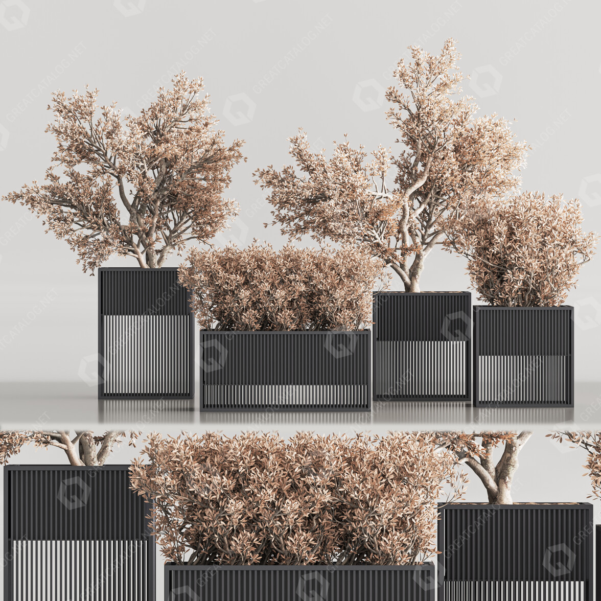 Potted Plants Indoor Set 101 Dry 3D model - GreatCatalog 45003