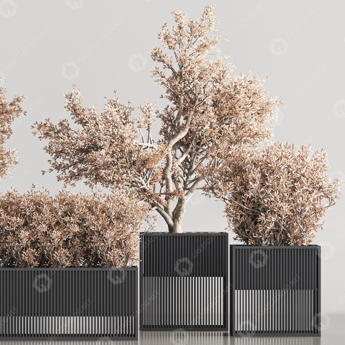 Potted Plants Indoor Set 101 Dry 3D model - GreatCatalog 45003