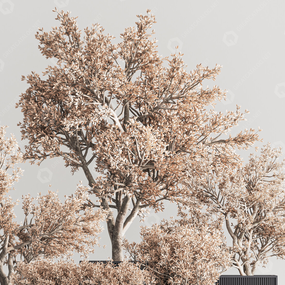 Potted Plants Indoor Set 101 Dry 3D model - GreatCatalog 45003